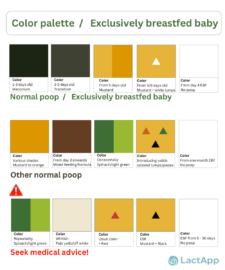 Breastfed baby poop: the color palette