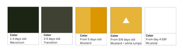 Breastfed baby poop: the color palette